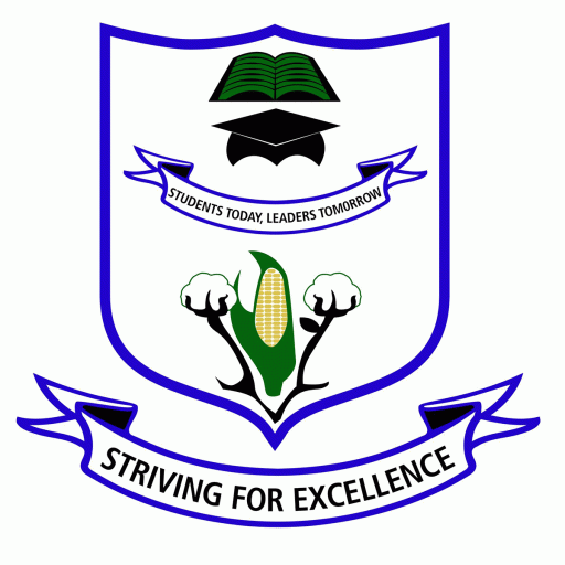 Cheziya Gokwe High School